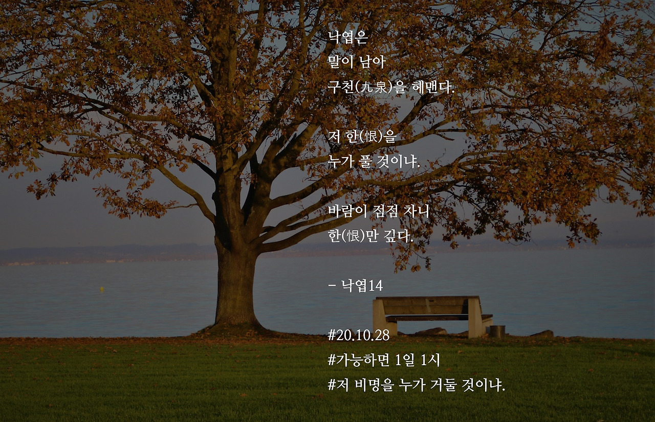 가능하면 1일 1시 낙엽14