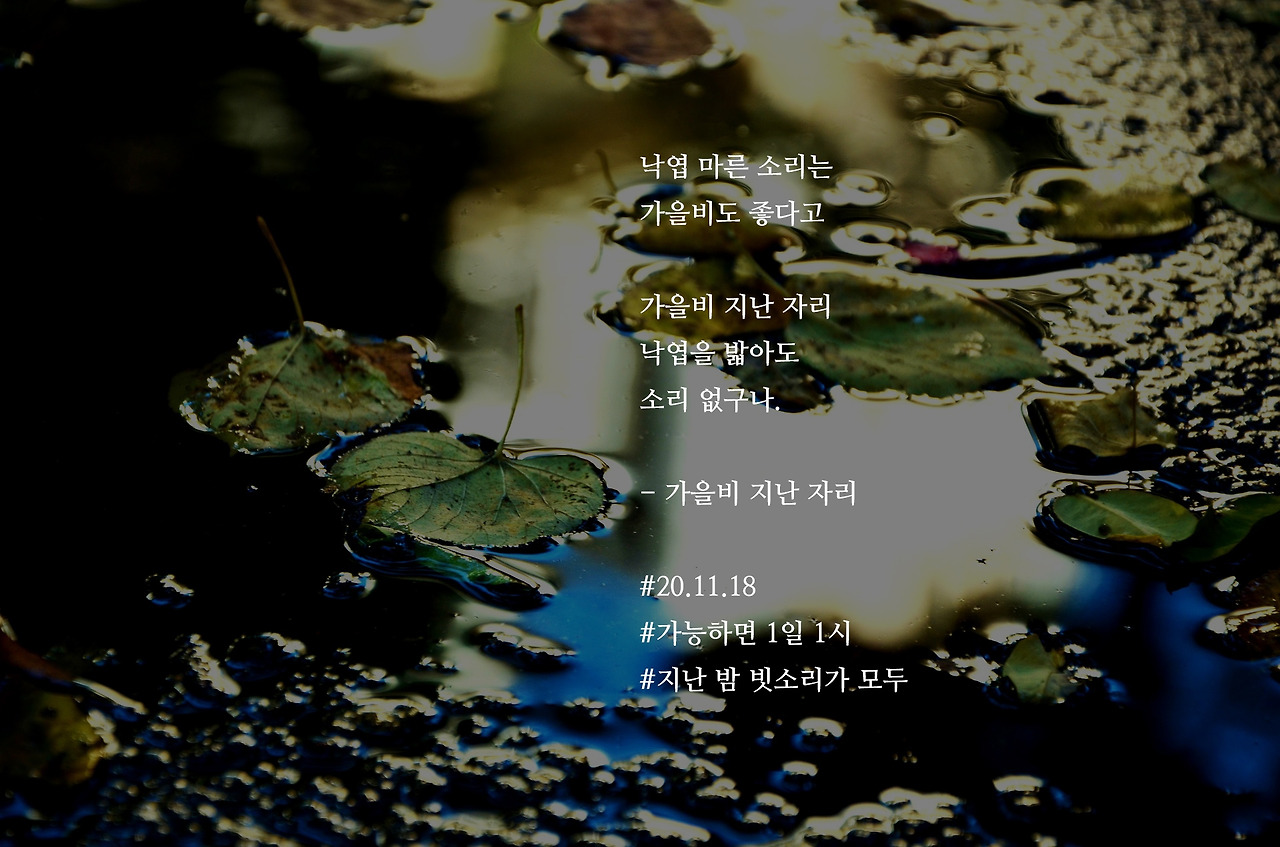 가능하면 1일 1시 가을비 지난 자리