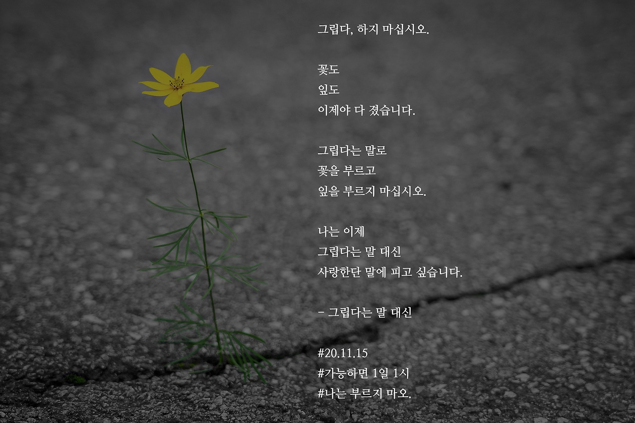 가능하면 1일 1시 그립다는 말 대신
