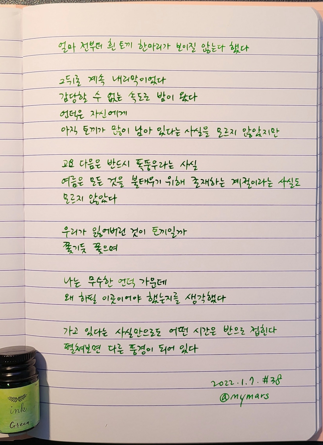 여름 언덕에서 배운 것 안희연