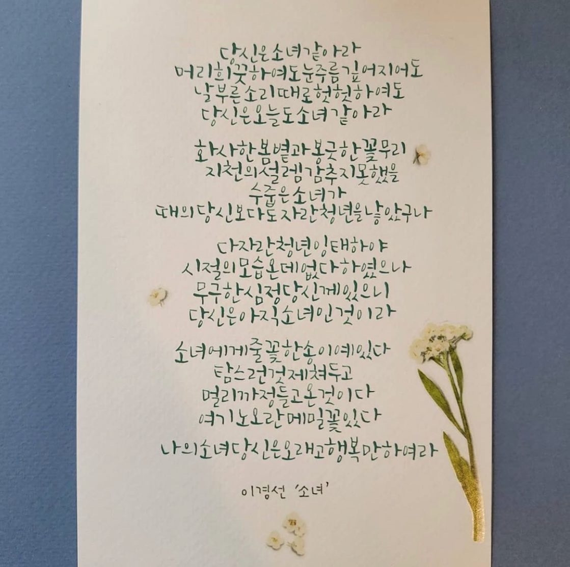 소식 캘리그라피 작품 소개 By 류체캘리