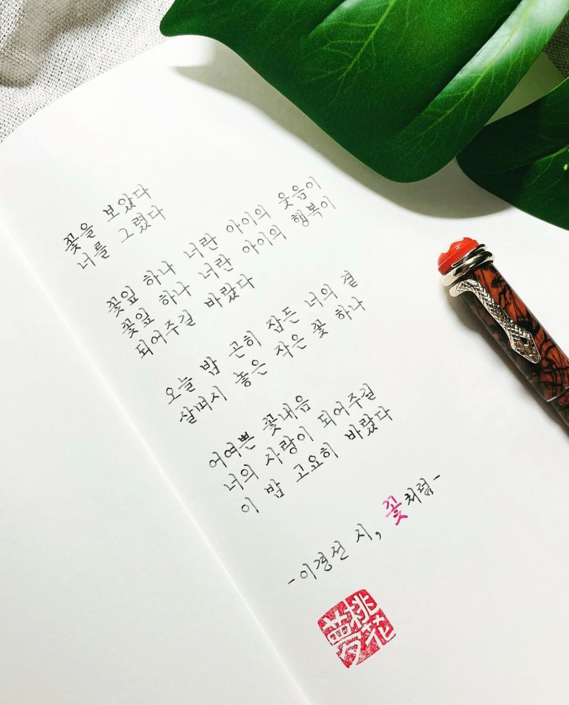소식 캘리그라피 작품 소개 By 도화몽 캘리