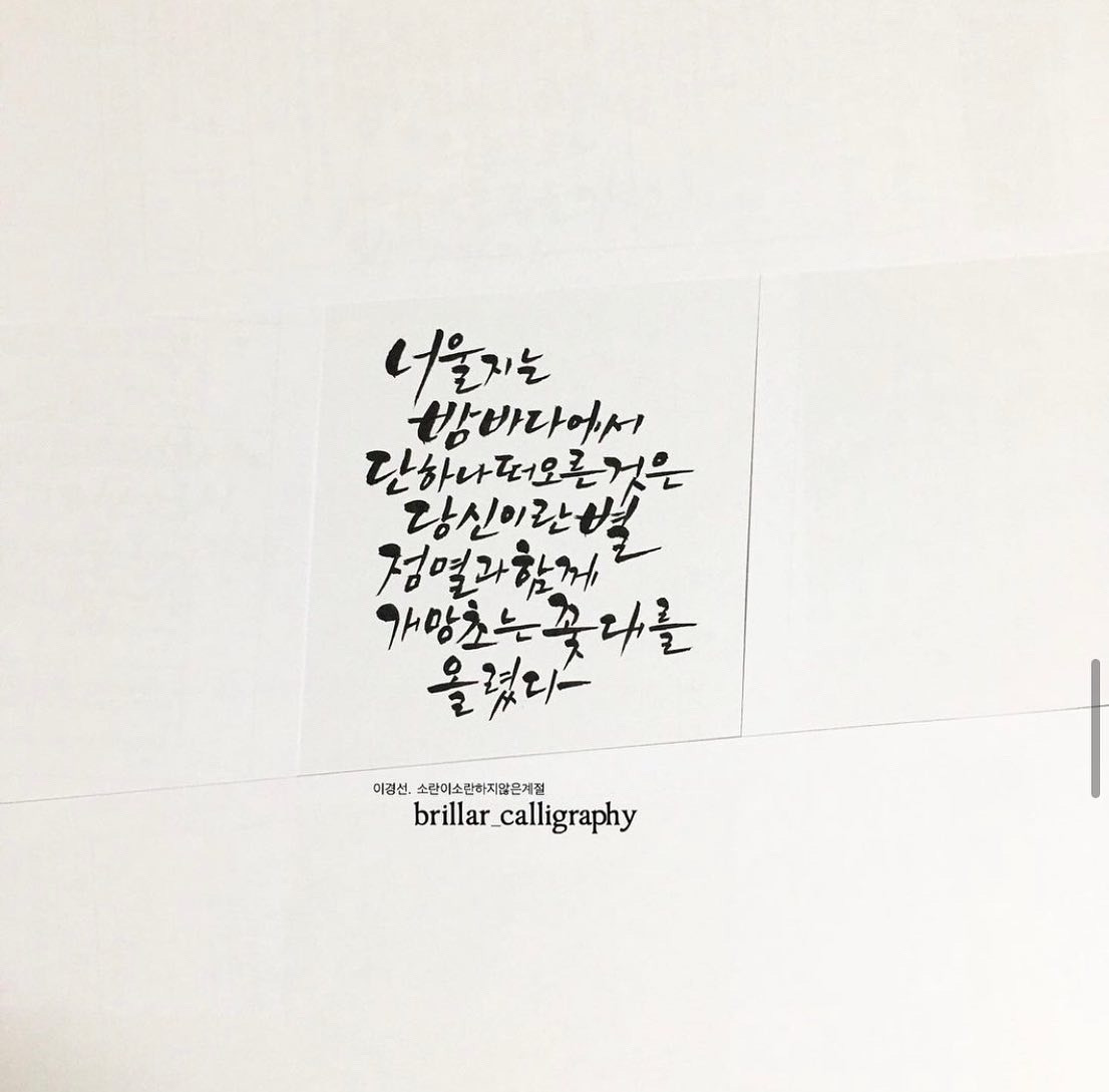 캘리 작품 소개 『소란이 소란하지 않은 계절』