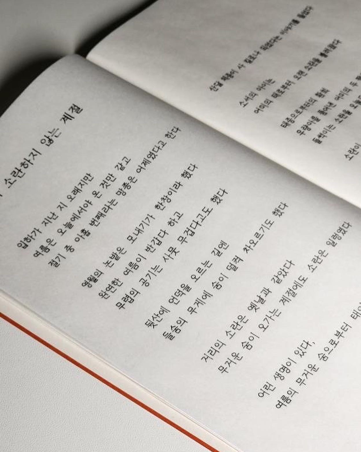 시집 캘리그라피 작품 소개 미꽃체