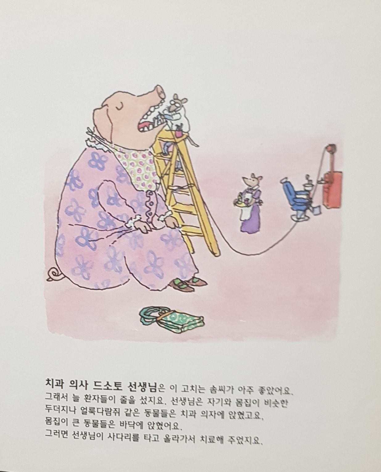 14화 치과의사 드소토 선생님