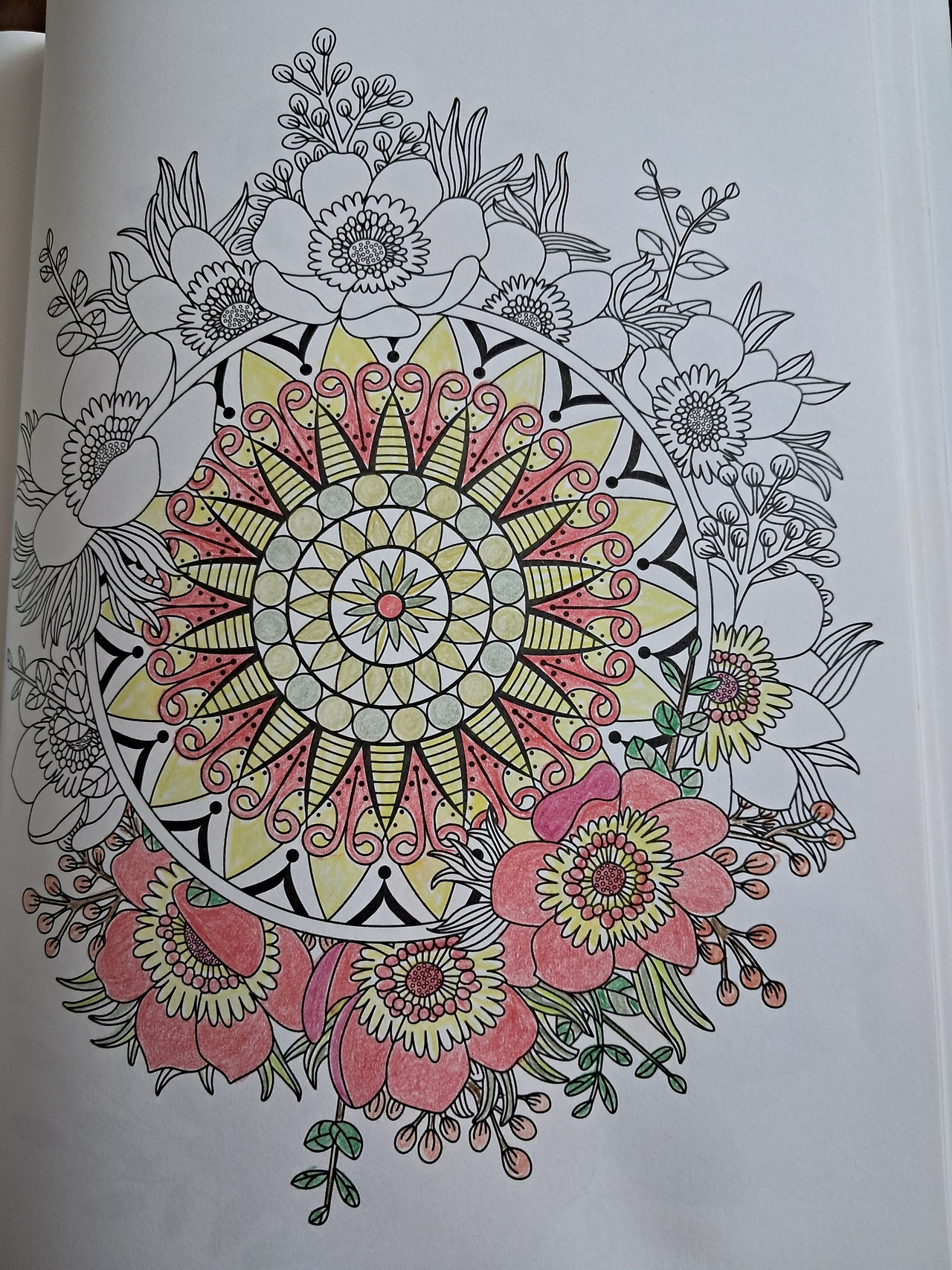 의리 있는 여자
