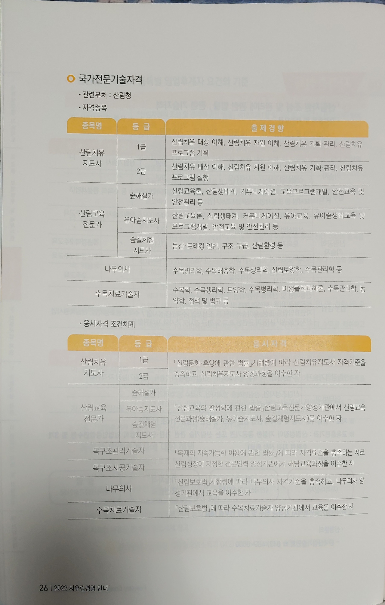 숲의 시선