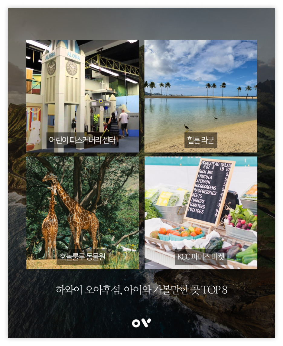 미국 가볼만한 곳 오아후섬 아이와 가볼만한 곳