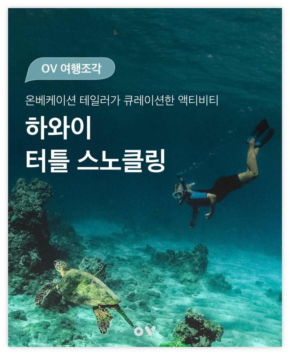 하와이 터틀 스노클링 Ov 여행조각