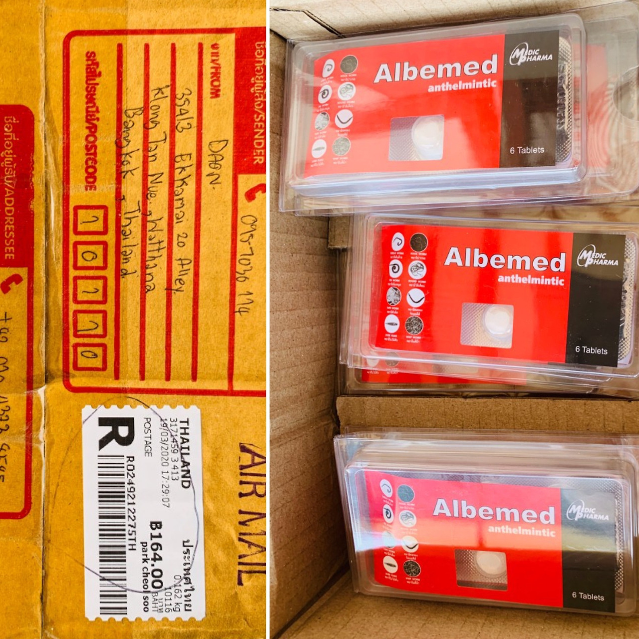 기똥찬 구충제 알벤다졸 기생충약 복용 체험기 1주일 차