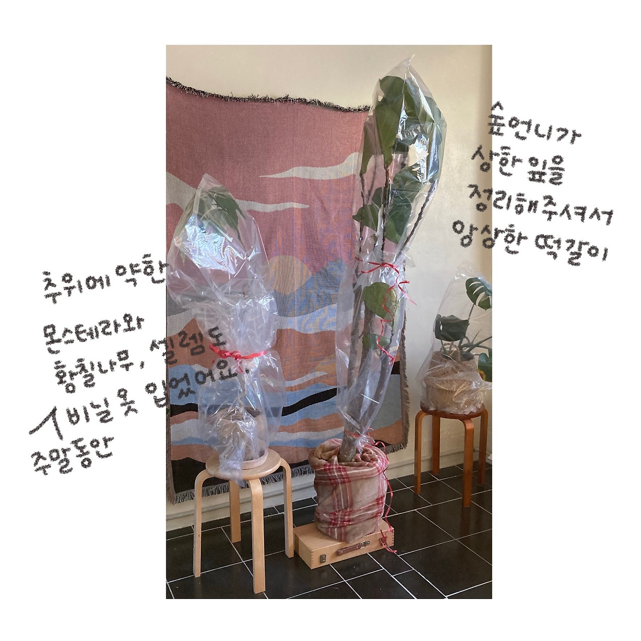 떡갈이의 겨울나기