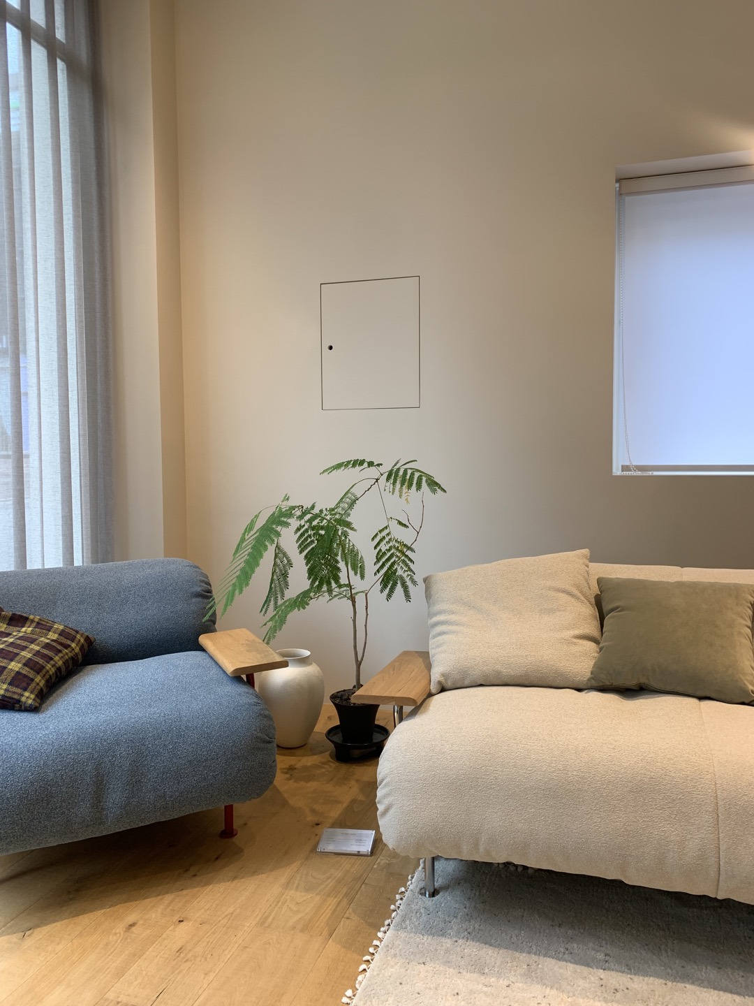 갖고 싶은 소파, 탈로리피