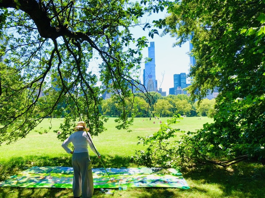 뉴욕 센트럴파크 자넷 루텐버그 화가, 맨해튼 한인 타운