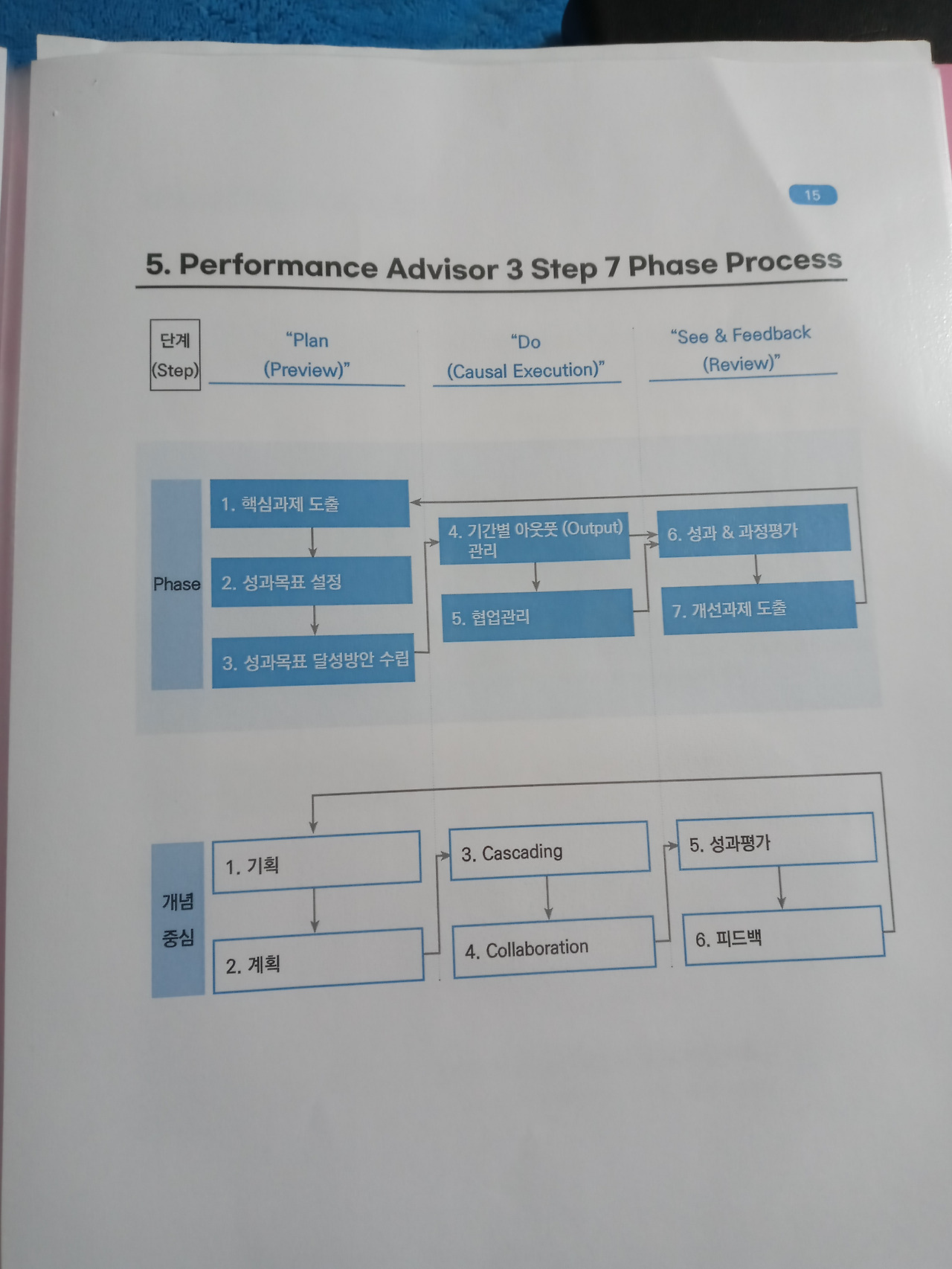 Plan do See, Success