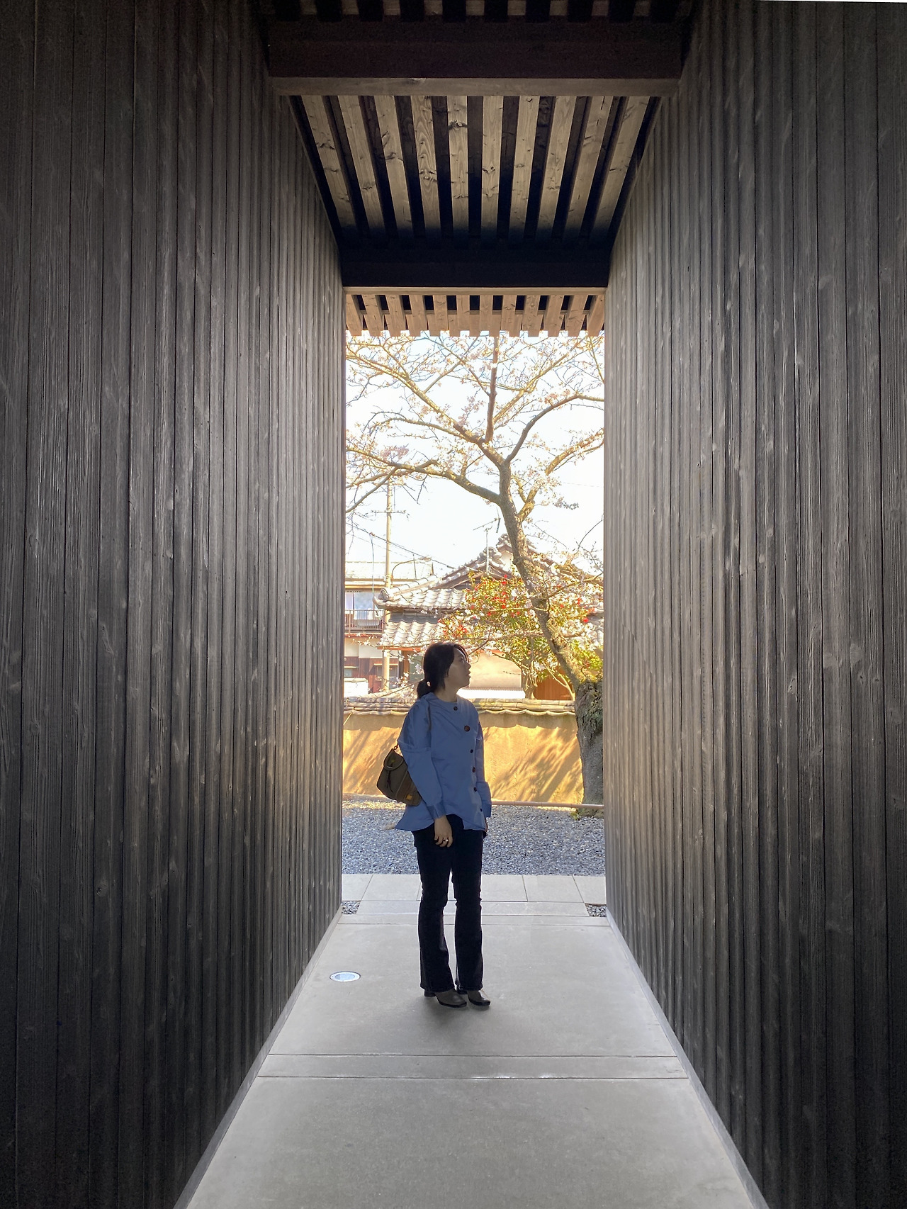 혼무라 아트 하우스 프로젝트 & 나오시마 홀