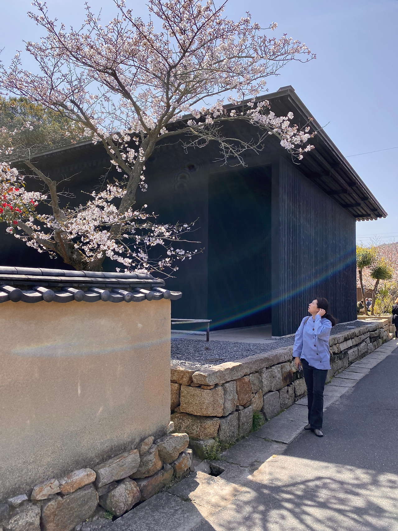 혼무라 아트 하우스 프로젝트 & 나오시마 홀