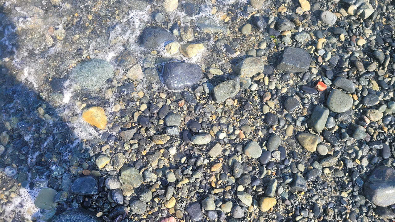 난생처음 거제도 거북손맛