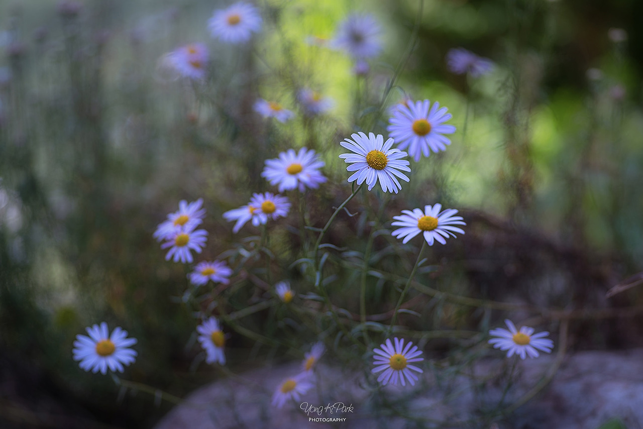 나를 붙잡는 순간들-10