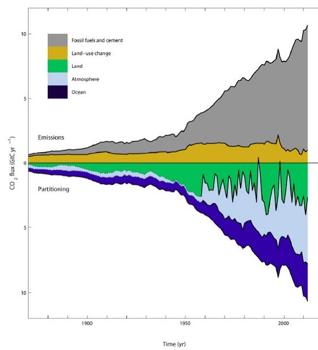 [Aritst] Alisa Singer