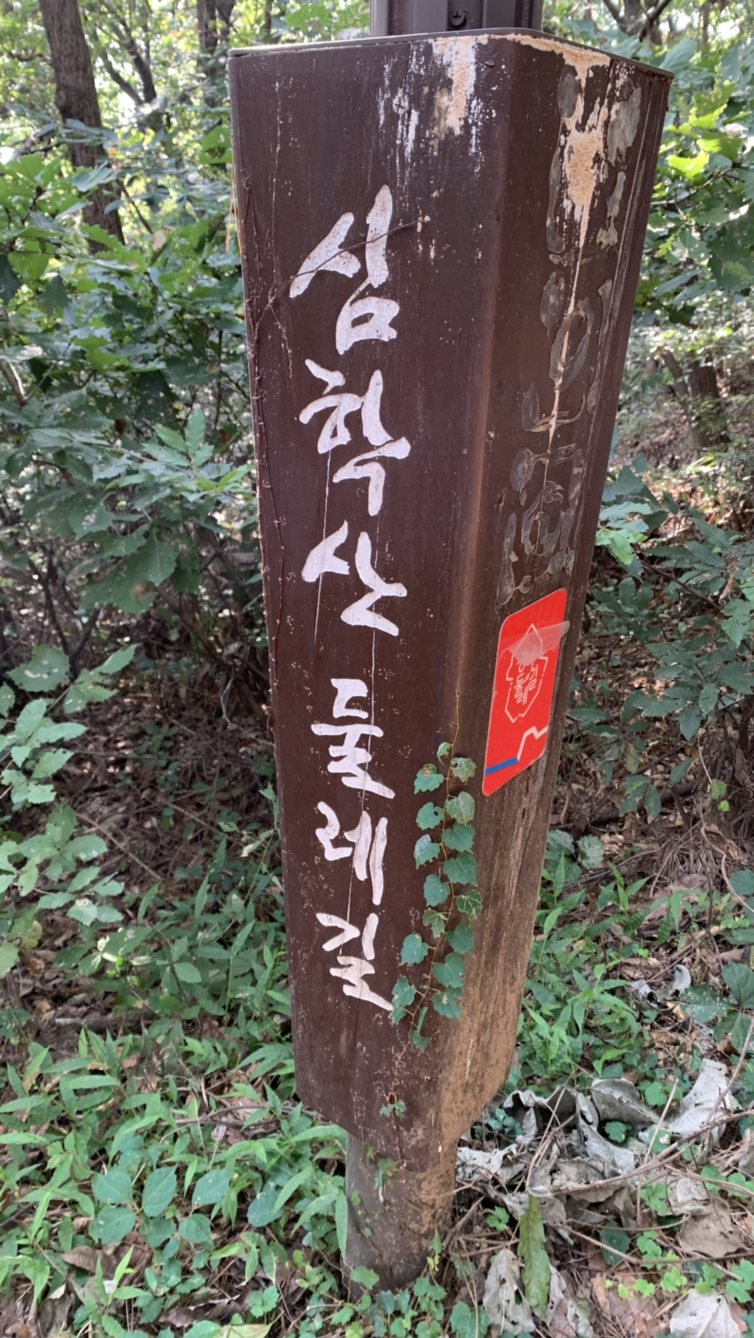 숲 속을 걸어요