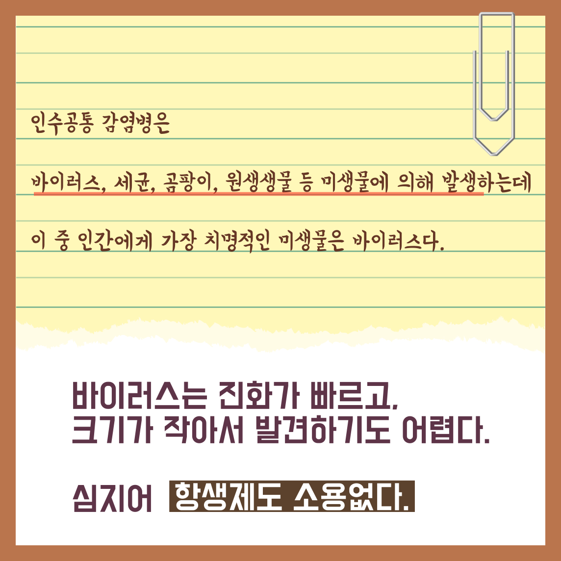 인수공통모든 전염병의 열쇠