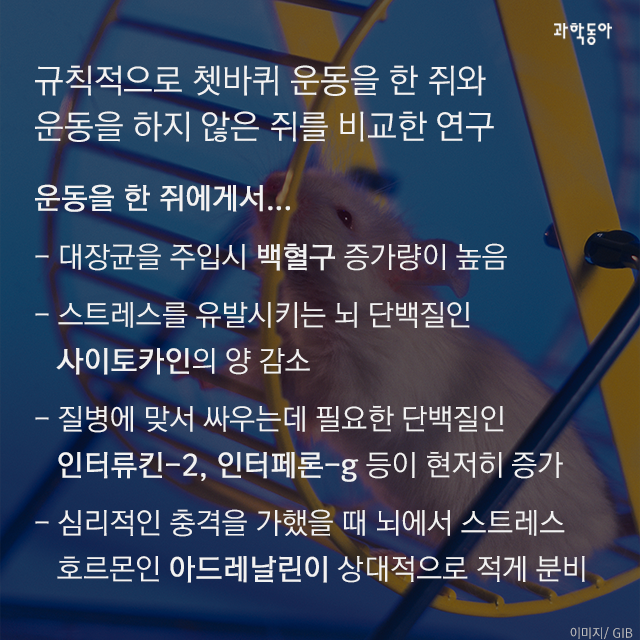 스트레스 해소에 운동이 좋은 과학적 이유