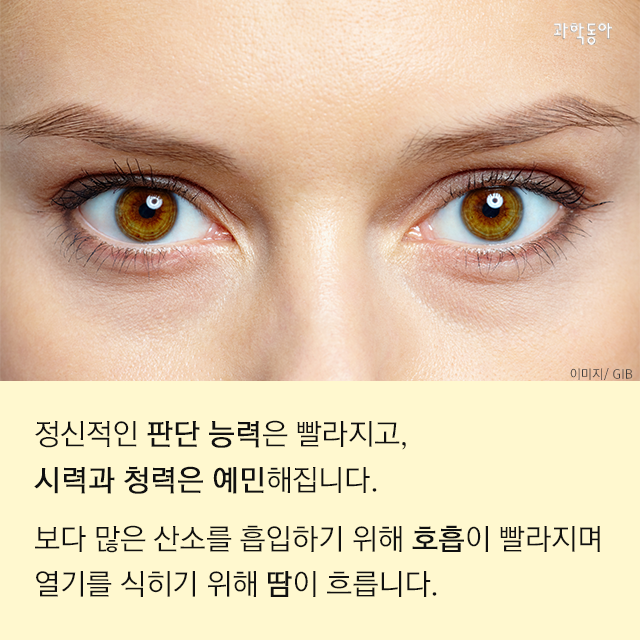 스트레스 해소에 운동이 좋은 과학적 이유