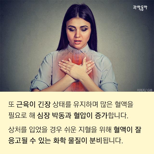 스트레스 해소에 운동이 좋은 과학적 이유