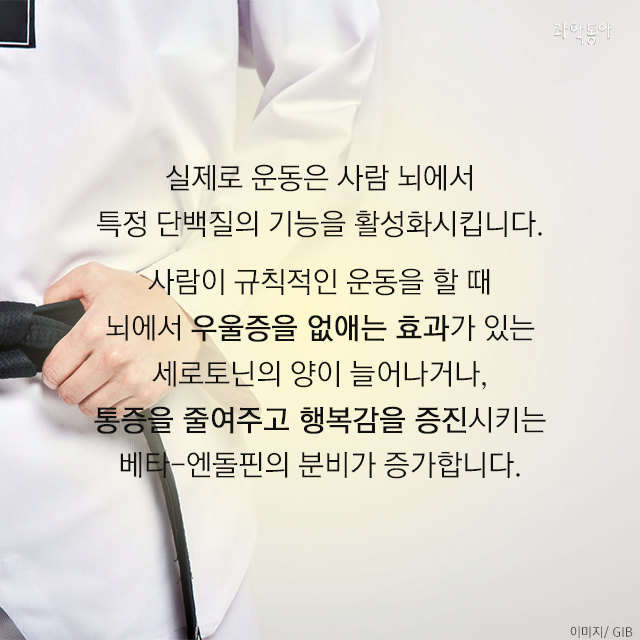 스트레스 해소에 운동이 좋은 과학적 이유
