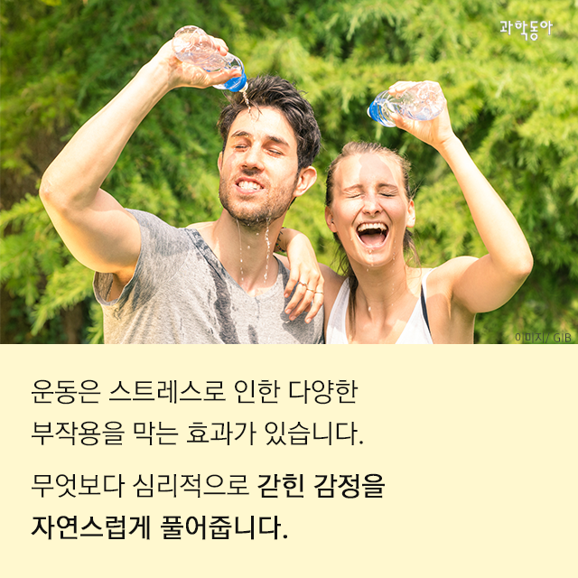 스트레스 해소에 운동이 좋은 과학적 이유
