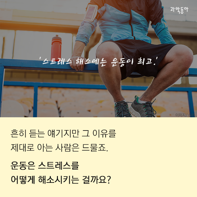 스트레스 해소에 운동이 좋은 과학적 이유