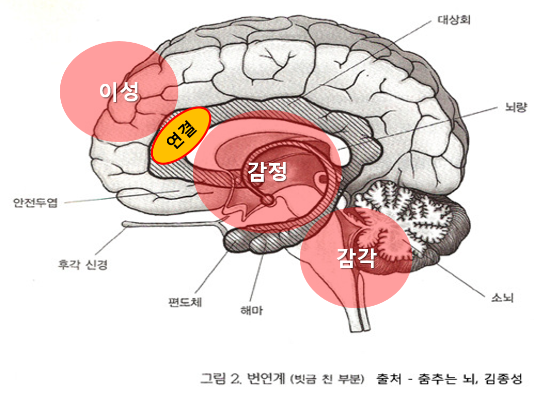 마음챙김 인지적 재평가보다 마음챙김이 더 나은 방법 네이버 블로그