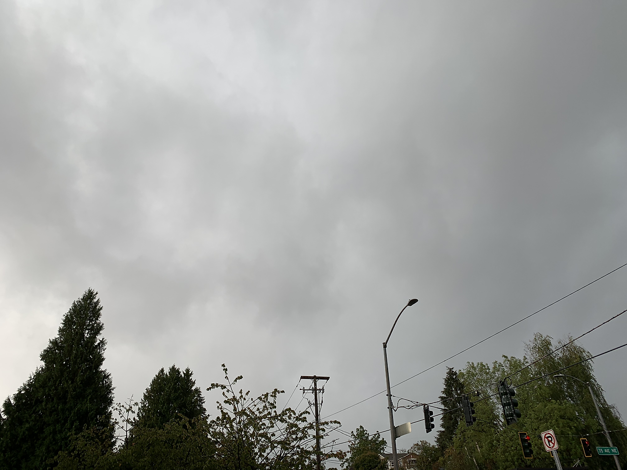 Seattle Gray (by 이진규)