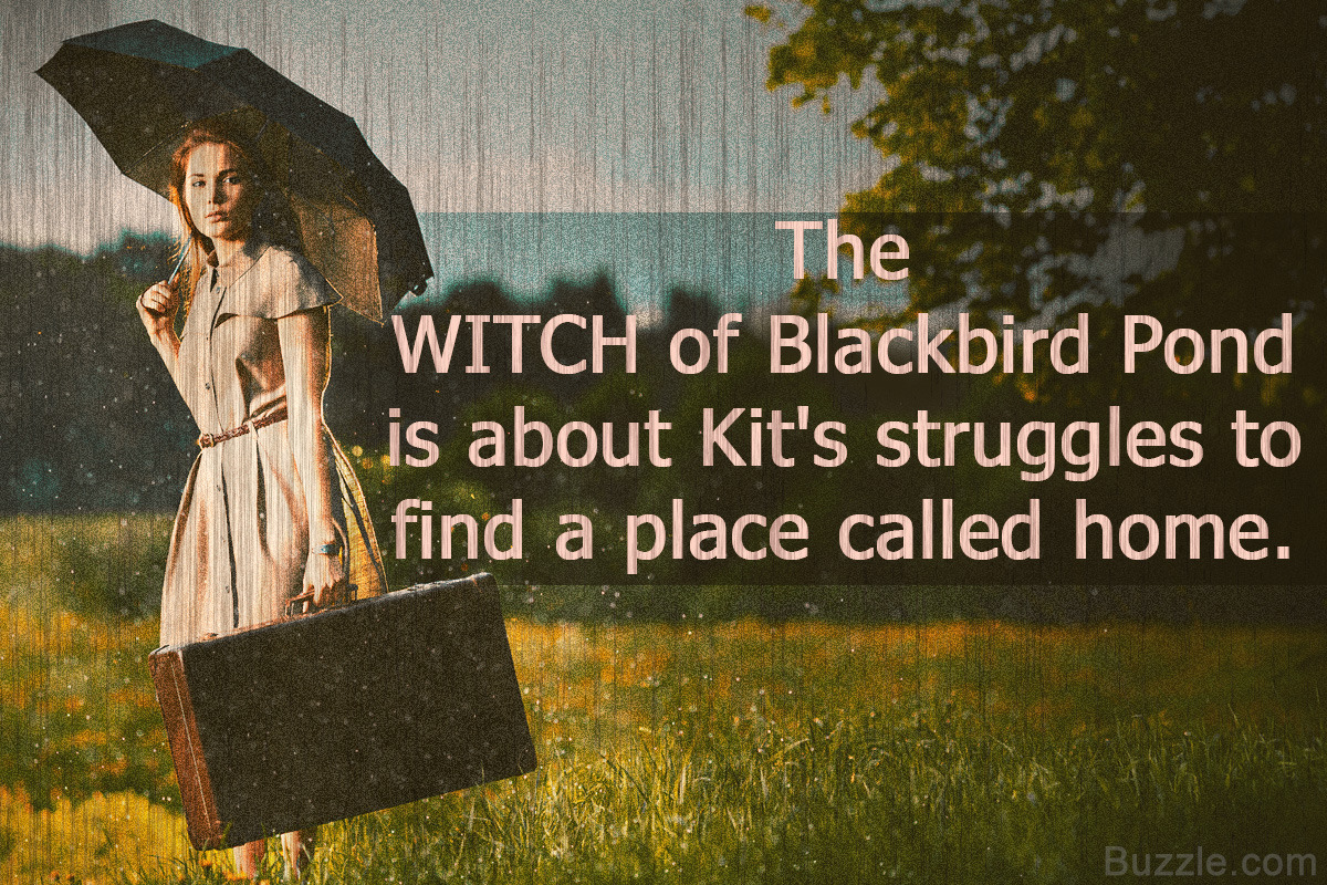 The Witch of Blackbird Pond