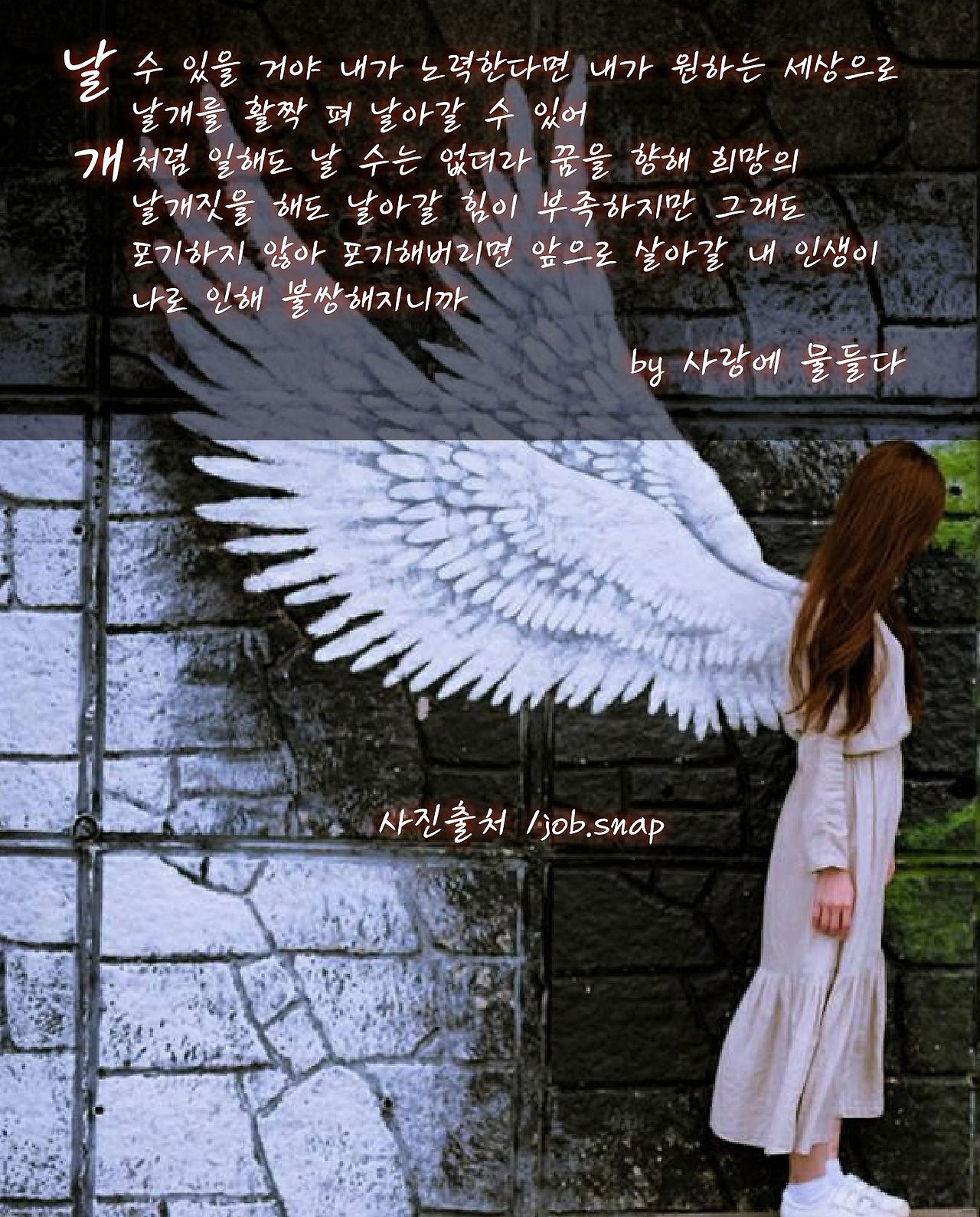 날 개