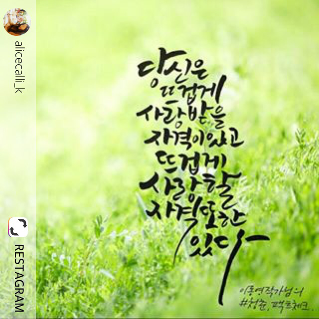 청춘 캘리 사랑글귀