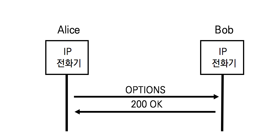 12장. SIP OPTIONS의 이해