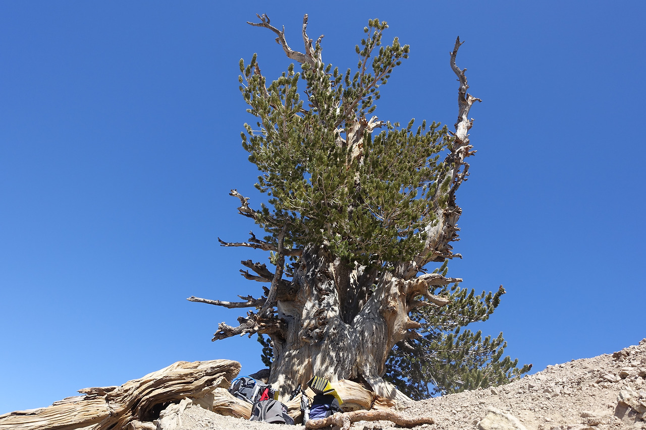 산 위에 피어난 사랑, 그리고 울려 퍼진 애국가