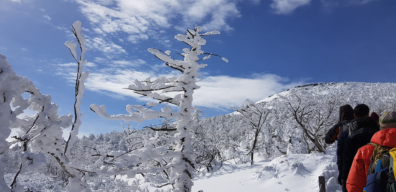 한라산 겨울산행 2_백록담 보러 가는 길
