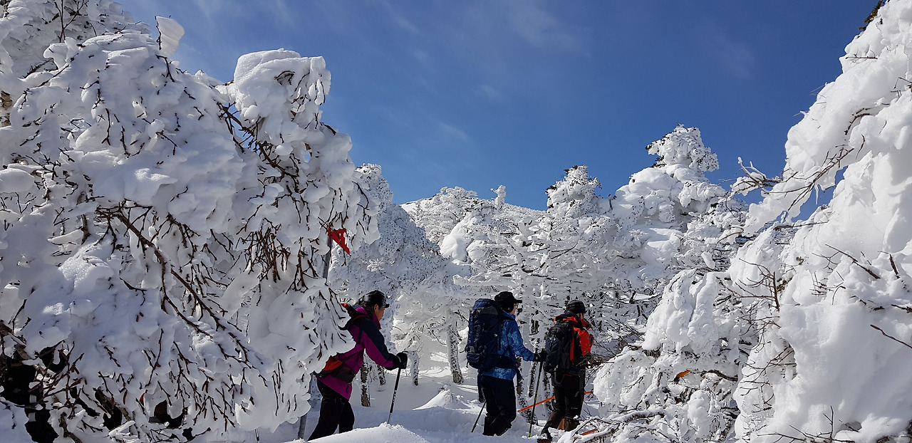 한라산 겨울산행 2_백록담 보러 가는 길