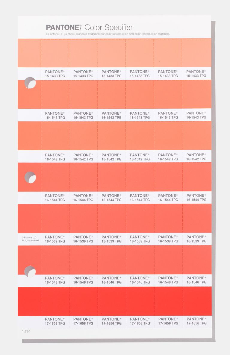 팬톤의 2019년 컬러 ; Living Coral