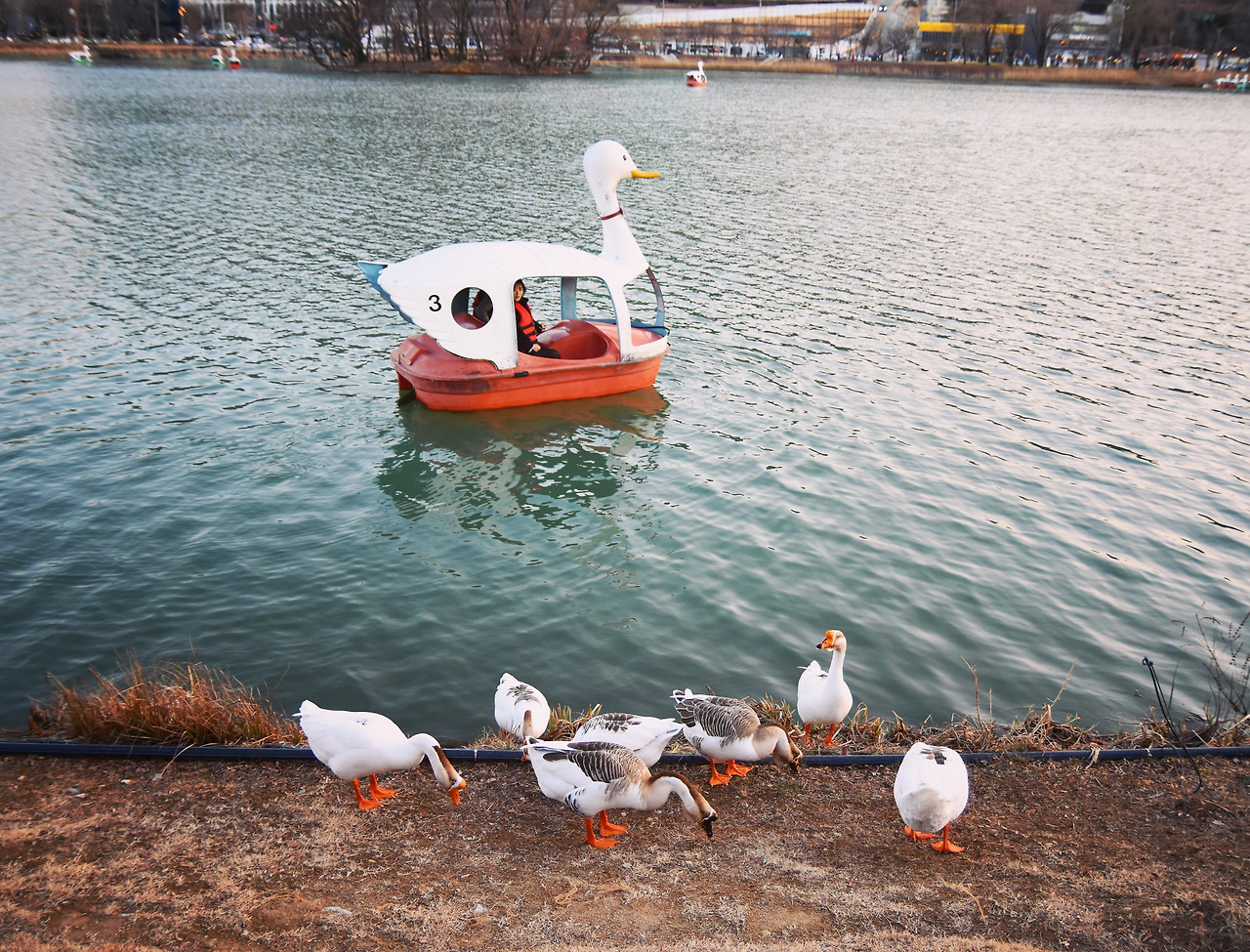 호수 한 바퀴의 여유