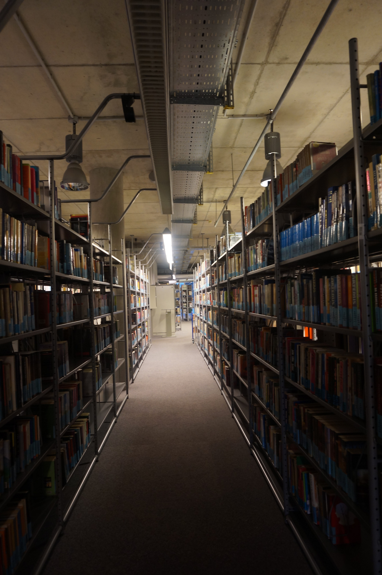 바르샤바 대학 도서관(BUW)의 "안"