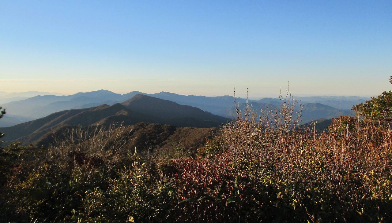 홀로 지리산을 걸으시거든