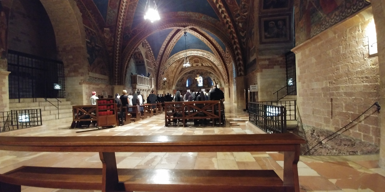 성 프란치스코도 무궁화를 보았을까