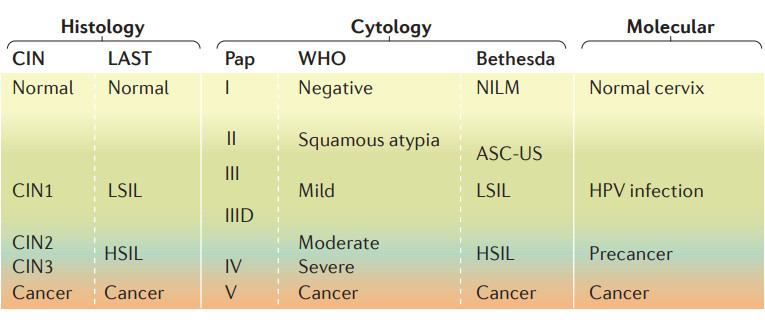자궁경부이형성증 용어 CIN LSIL HSIL