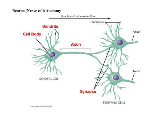 인공신경망 개념(Neural Network)