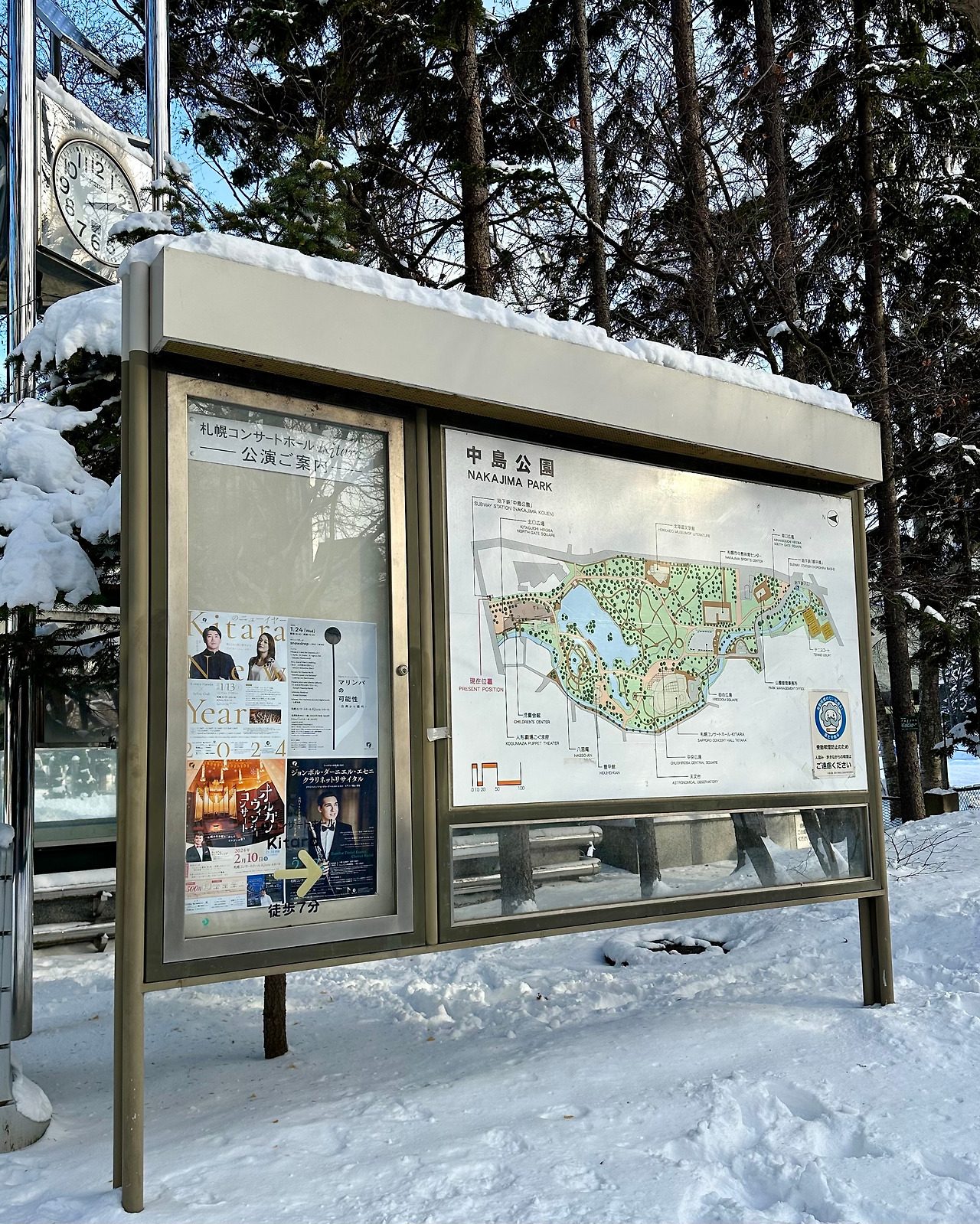 삿포로 공원: 은 오전에 가세요