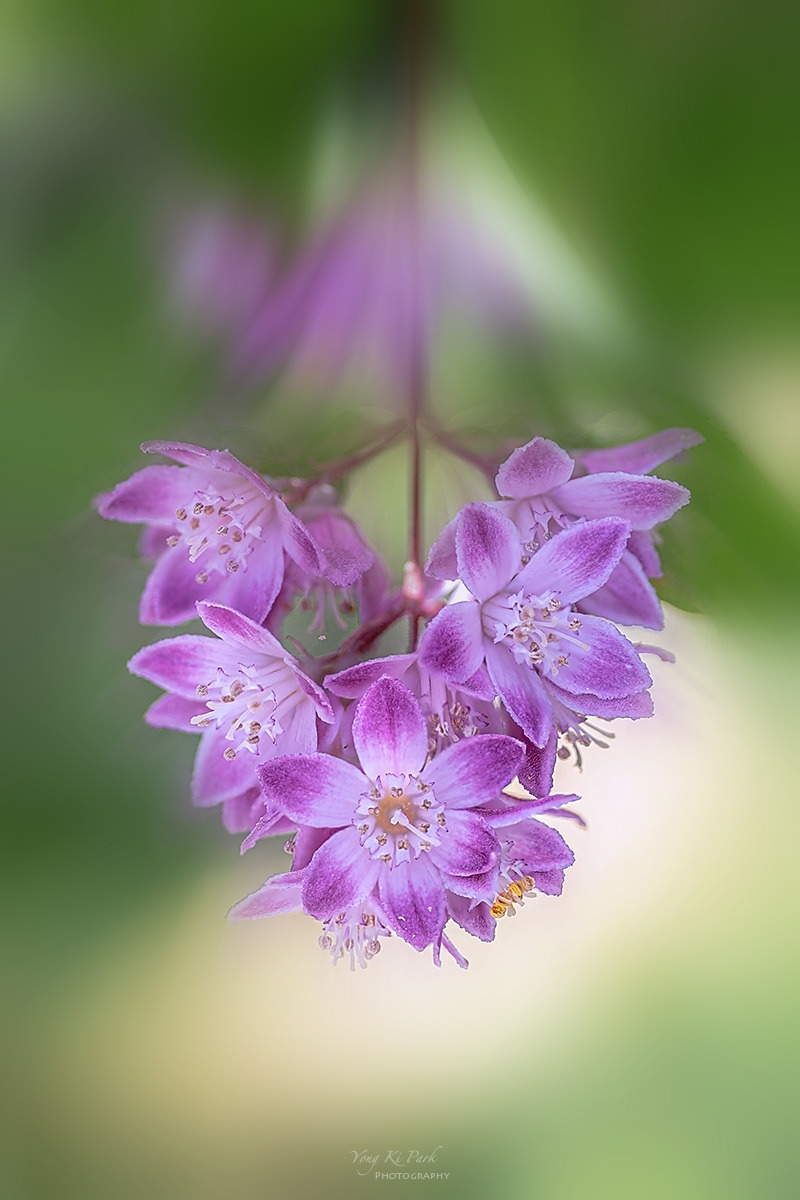 온라인 사진 전시회