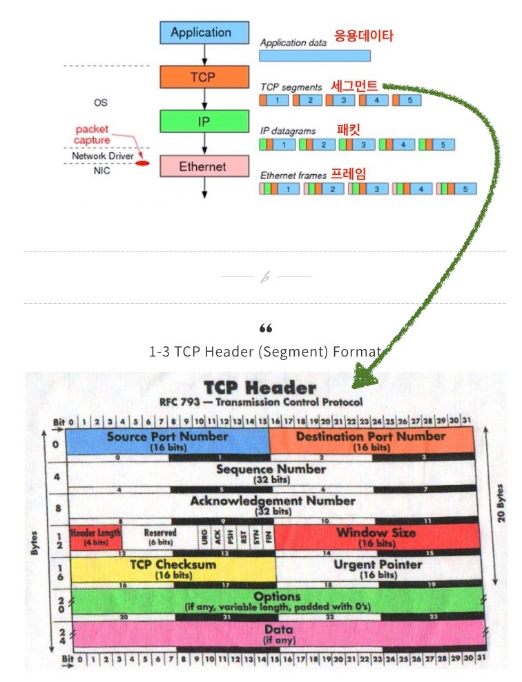 TCP/IP